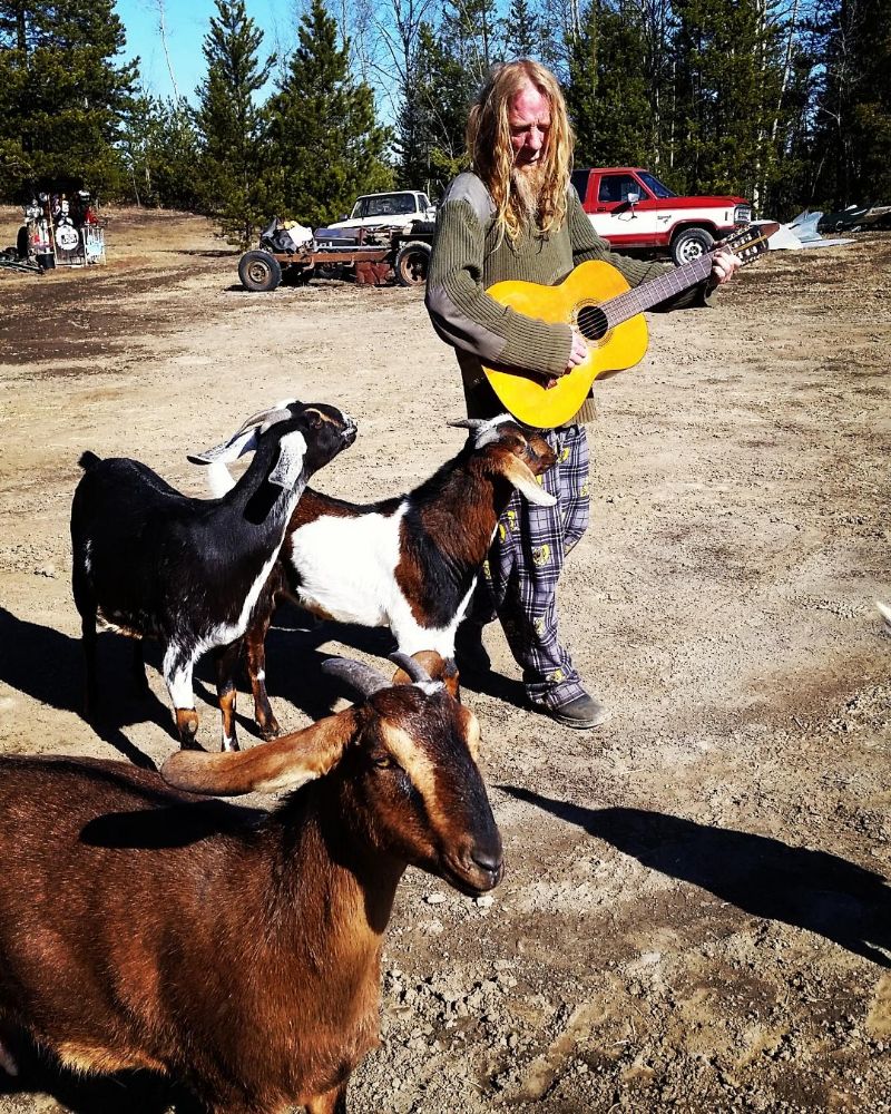 goats - heavy5's Photos - Banjo Hangout