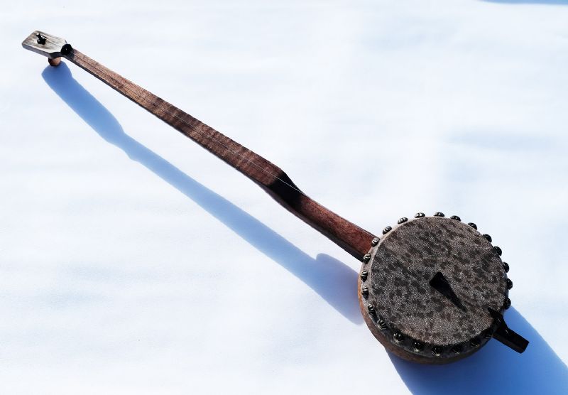 Tumbi- Indian Folk Instrument - Discussion Forums - Banjo Hangout