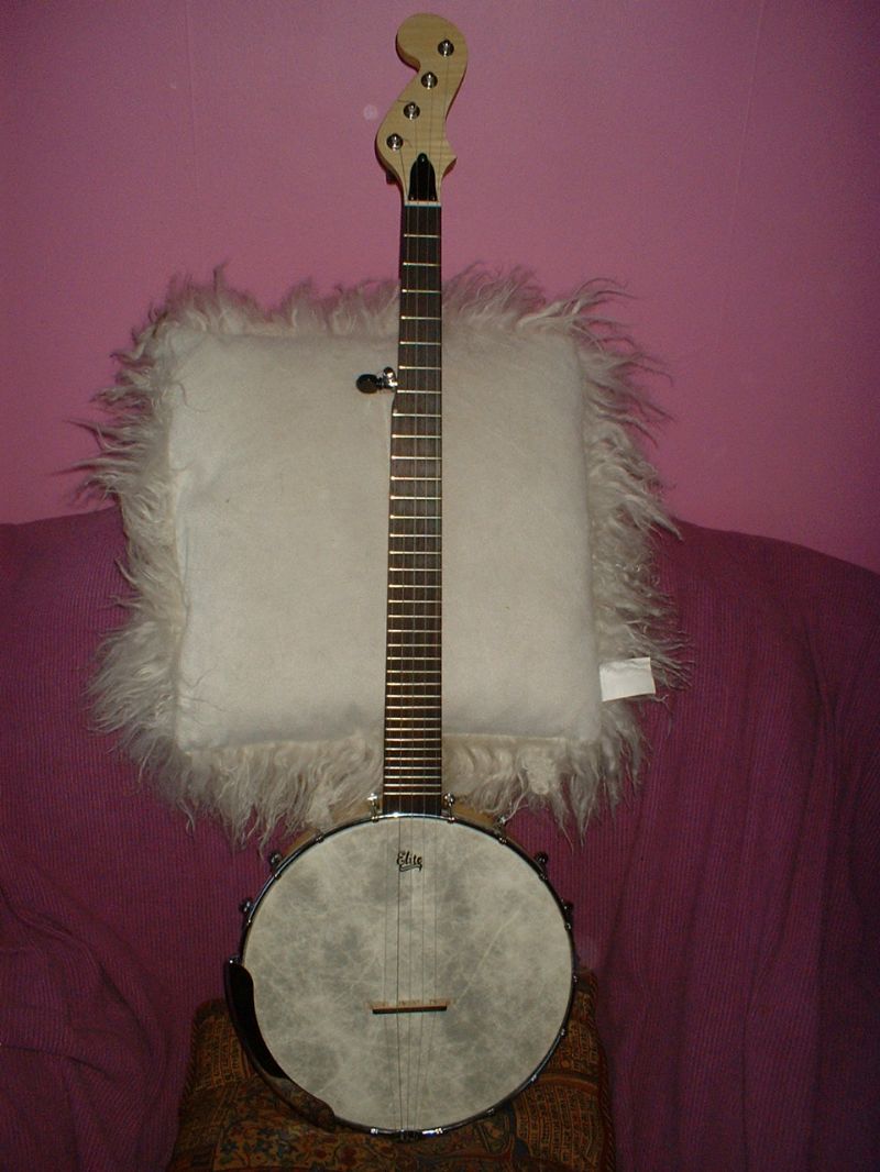 "Baroque Banjo" 19 Tones per octave (19TET) - microtone's Photos ...