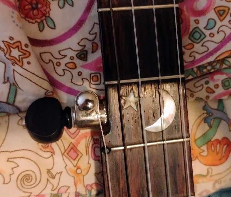 Morrison Banjo nut (pip)_1 - Sabira's Photos - Banjo Hangout