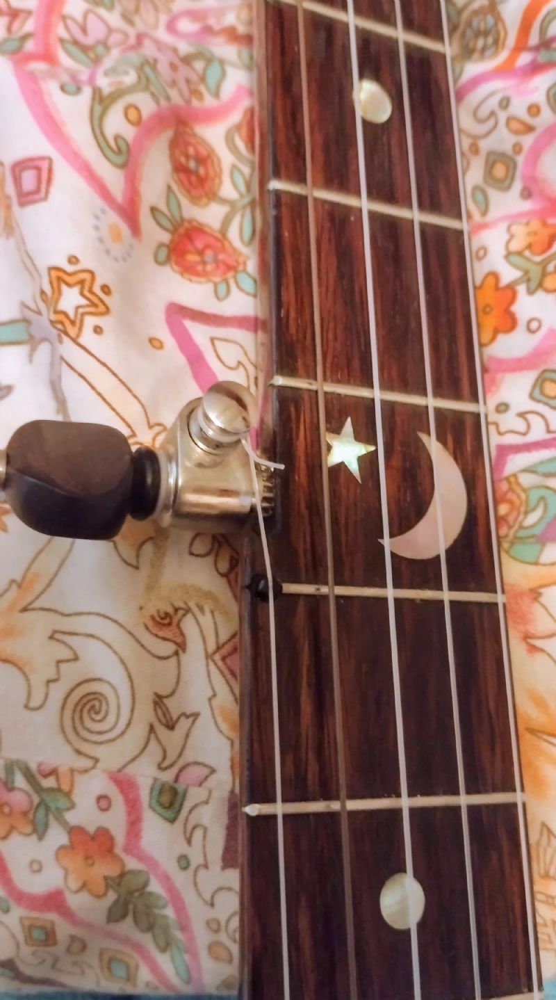 Morrison Banjo nut (pip)_6 - Sabira's Photos - Banjo Hangout