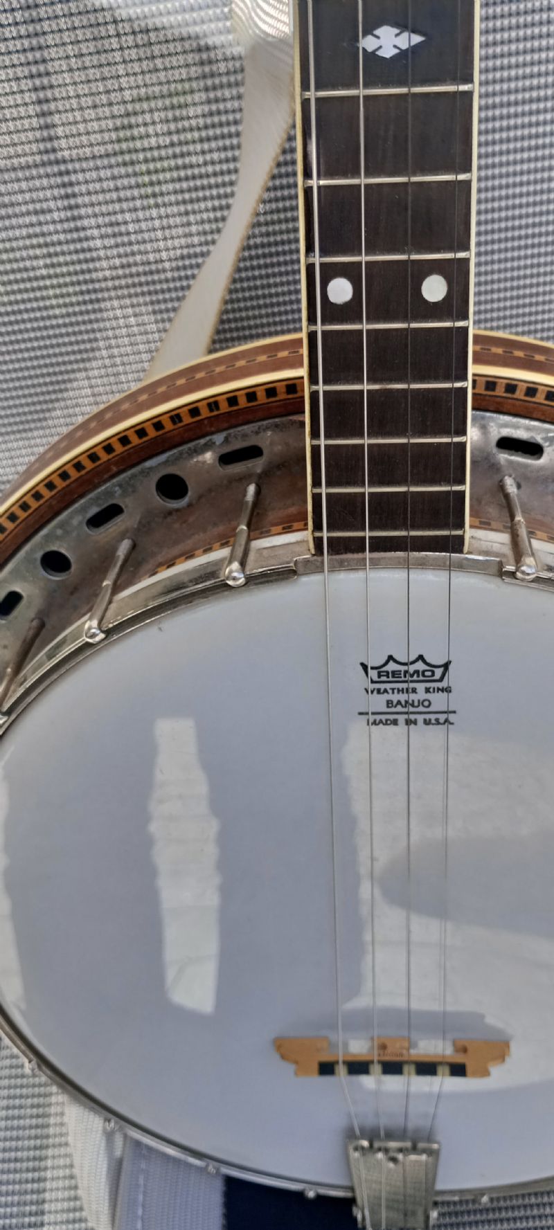 Banjo identification - Discussion Forums - Banjo Hangout