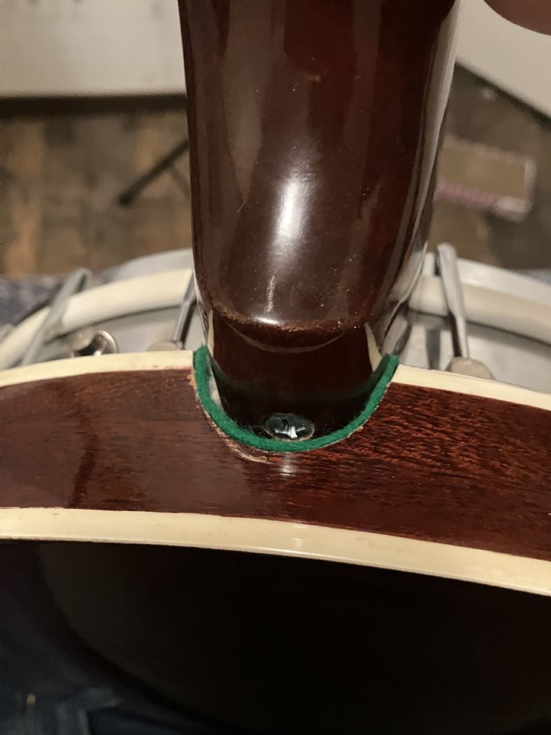 Unbranded Made in Japan banjo - Discussion Forums - Banjo Hangout