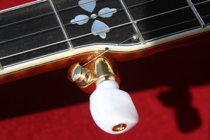 5th-string Pip - avarko's Photos - Banjo Hangout