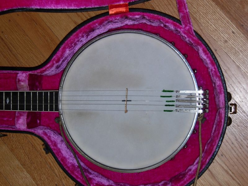 - gm's Photos - Banjo Hangout