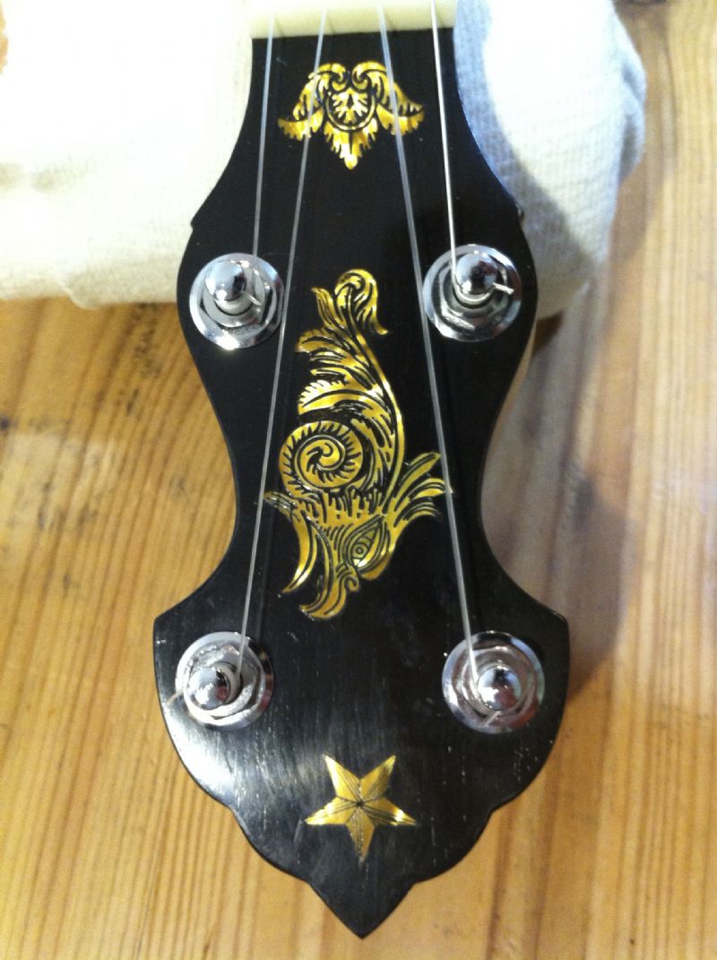 All Eastman EBJ-WL Banjo Reviews - Banjo Hangout