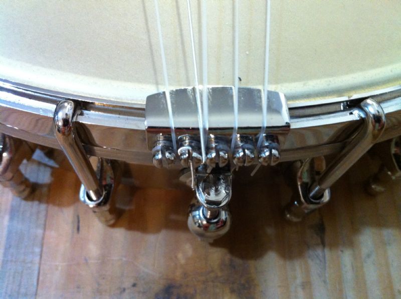All Eastman EBJ-WL Banjo Reviews - Banjo Hangout