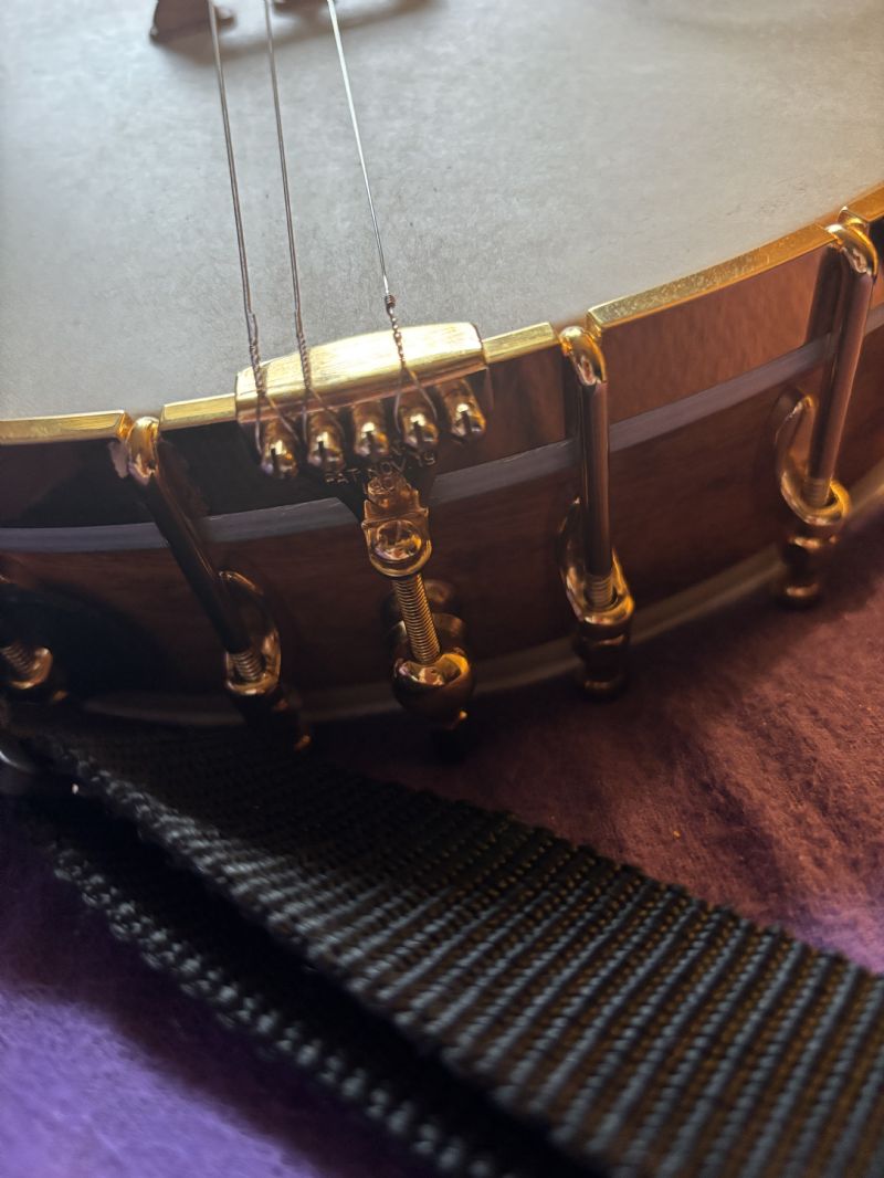No Knot Tailpiece - Compass56's Photos - Banjo Hangout