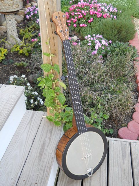 The amazing Mountain Banjo - Discussion Forums - Banjo Hangout