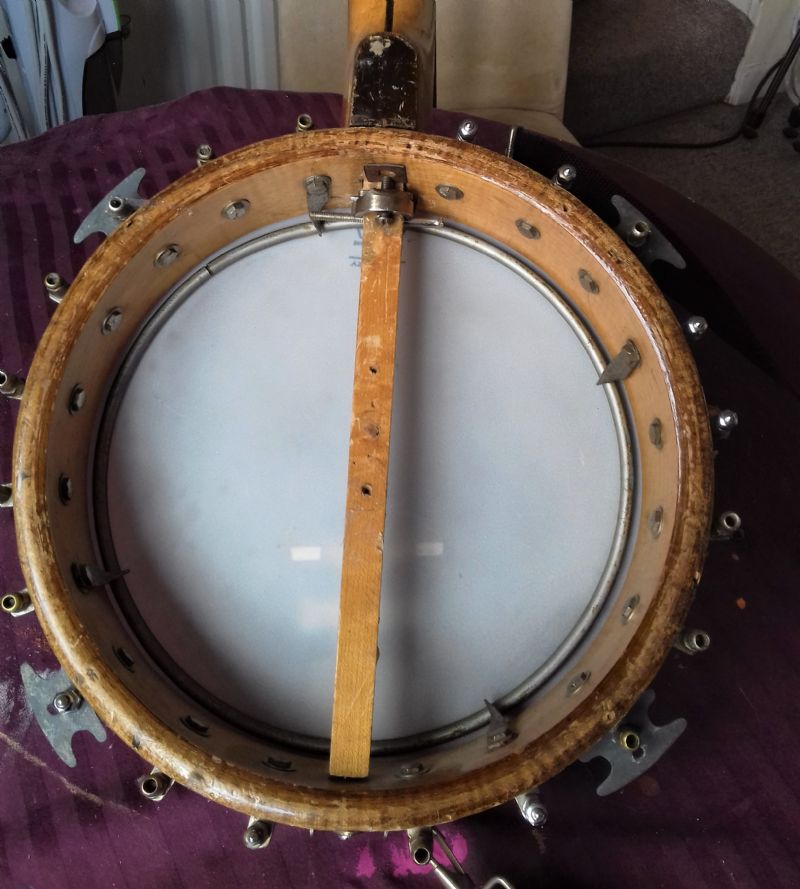 banjo identification - Discussion Forums - Banjo Hangout