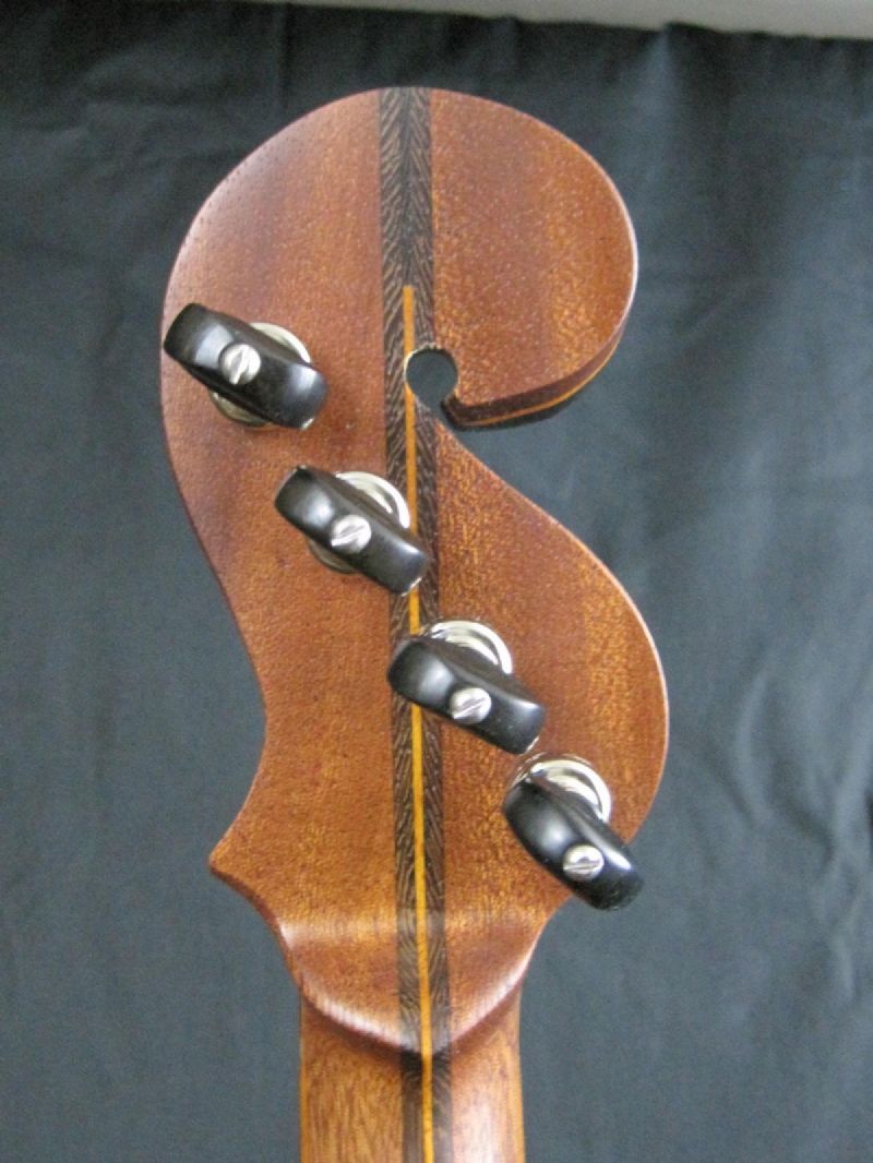 Internal Resonator Cello, headstock - raharris's Photos - Banjo Hangout