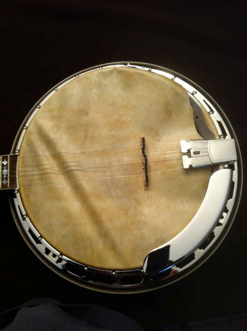 Ripped Hide Head - Tom Berghan's Photos - Banjo Hangout
