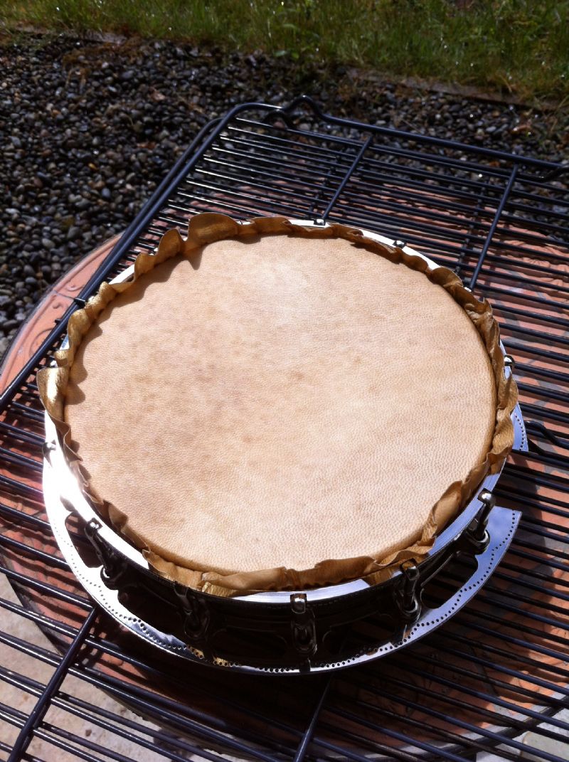 Hide Drying after Staining & Mounting - Tom Berghan's Photos - Banjo ...