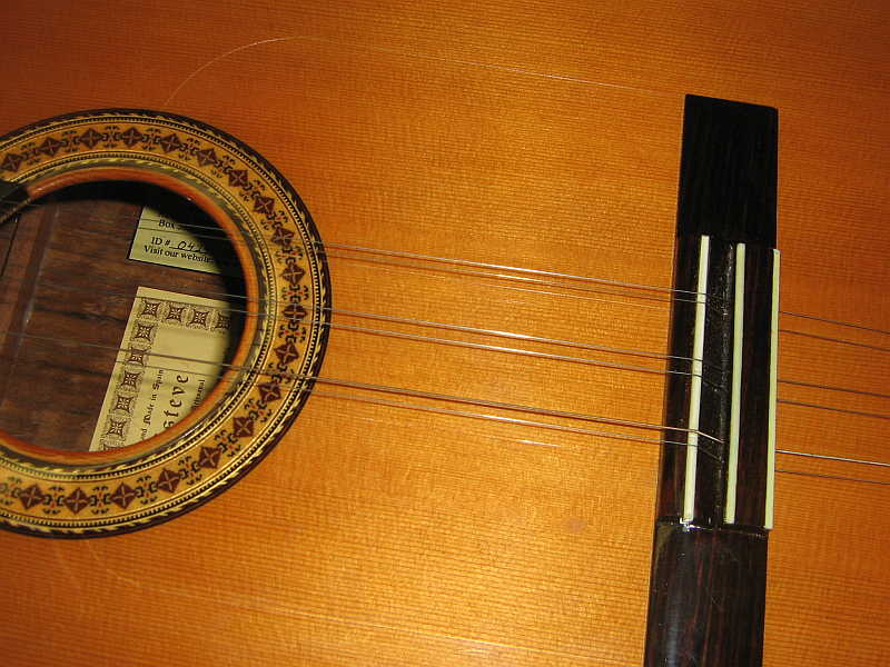 Close up of Cuban tres strings and spacing - tresero's Photos - Banjo ...