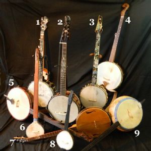 9 STRING HARP BANJO COMPLETE! - Discussion Forums - Banjo Hangout