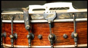 9 STRING HARP BANJO COMPLETE! - Discussion Forums - Banjo Hangout