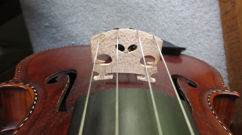 A brief rekindling of the "flat vs. arched bridge" discussion ...