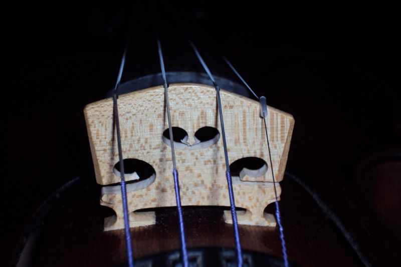 Thinking of flattening my bridge a bit? - Discussion Forums - Fiddle ...
