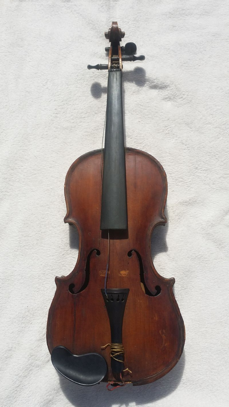 - Ms-Fiddlefaddle's Photos - Fiddle Hangout