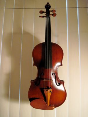 Violin by me based on Andrea Postacchini - vlndr's Photos - Fiddle Hangout