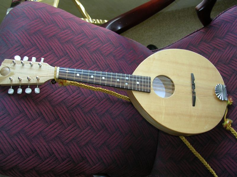 Building an inexspensive mandolin - Discussion Forums - Mando Hangout