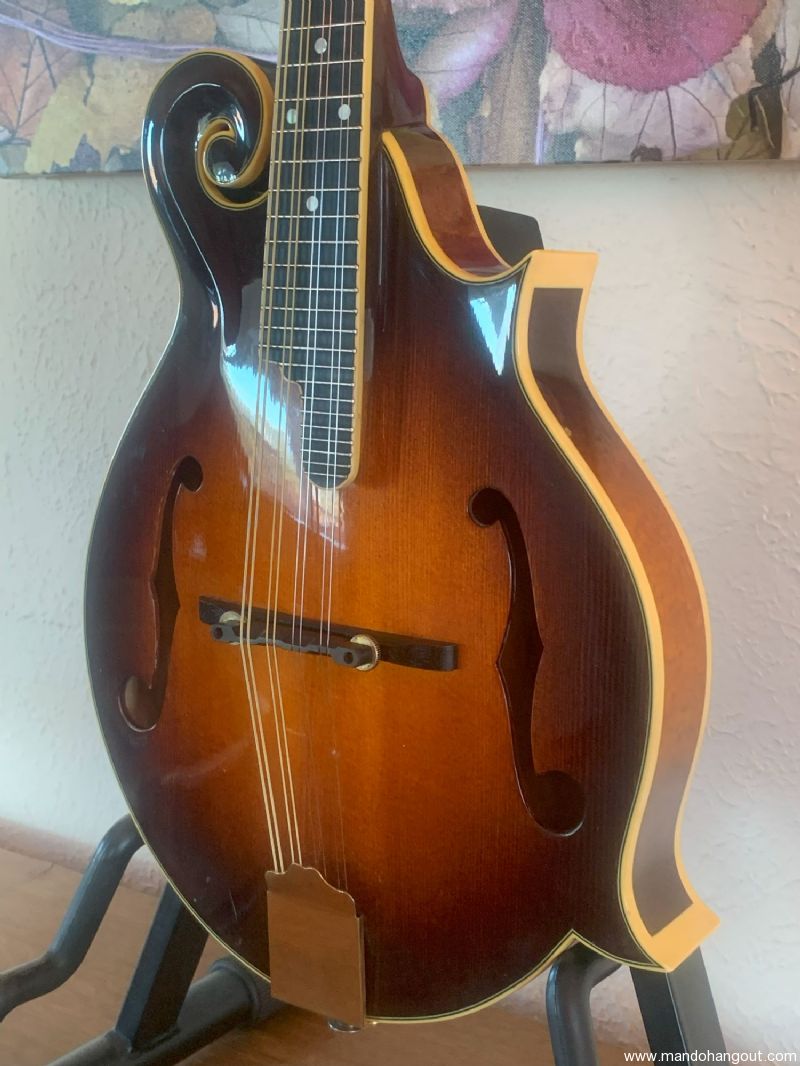 Customized Alvarez Mandolin - Mando Hangout