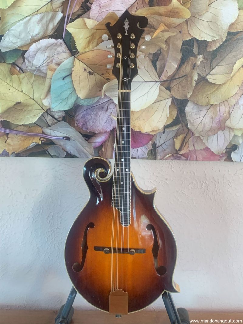 Customized Alvarez Mandolin - Mando Hangout