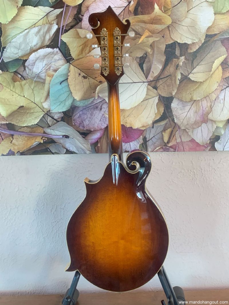 Customized Alvarez Mandolin - Mando Hangout