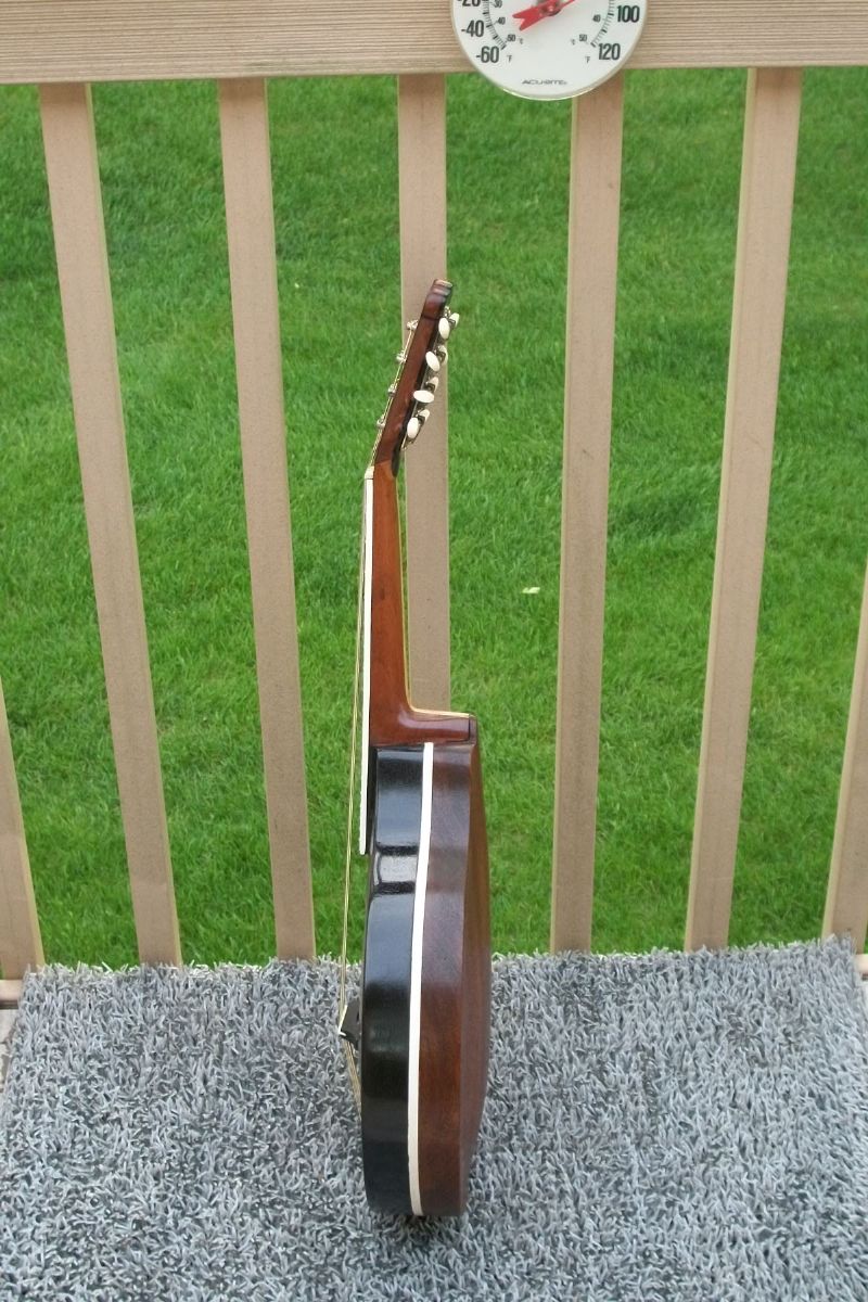 The Dayton Style B Mandola restored - TwoTrax's Photos - Mando Hangout